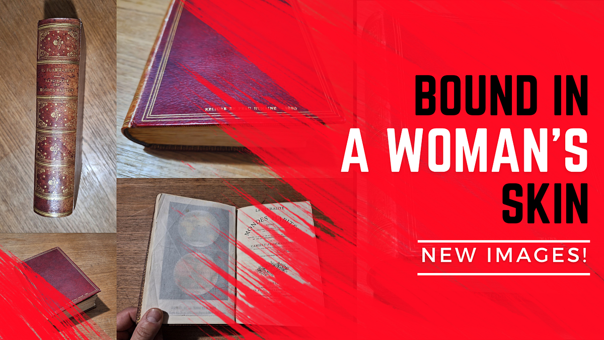 Feminine Footnotes and Folios. Binding books in the skin of silenced ...