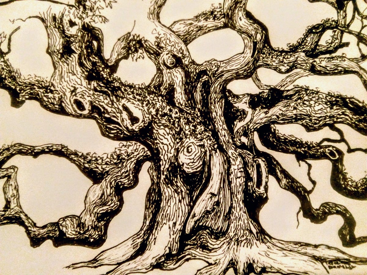 Wakeful Dreams: on Marvels.. There stood a tree by the river bend… | by ...