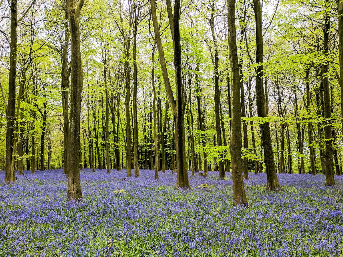 Caring for my mental health. I thought for quite a while before… | by Marc Curtis | Medium