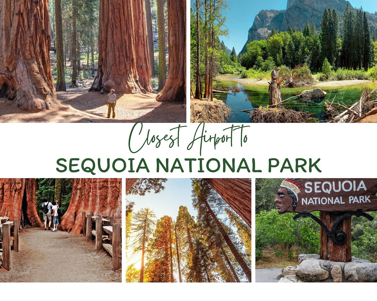 Closest Airports To Sequoia National Park | by Benjamin Smith | Medium