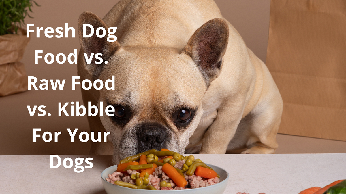 Fresh Dog Food vs. Raw Food vs. Kibble For Your Dogs | by Furry Finds ...