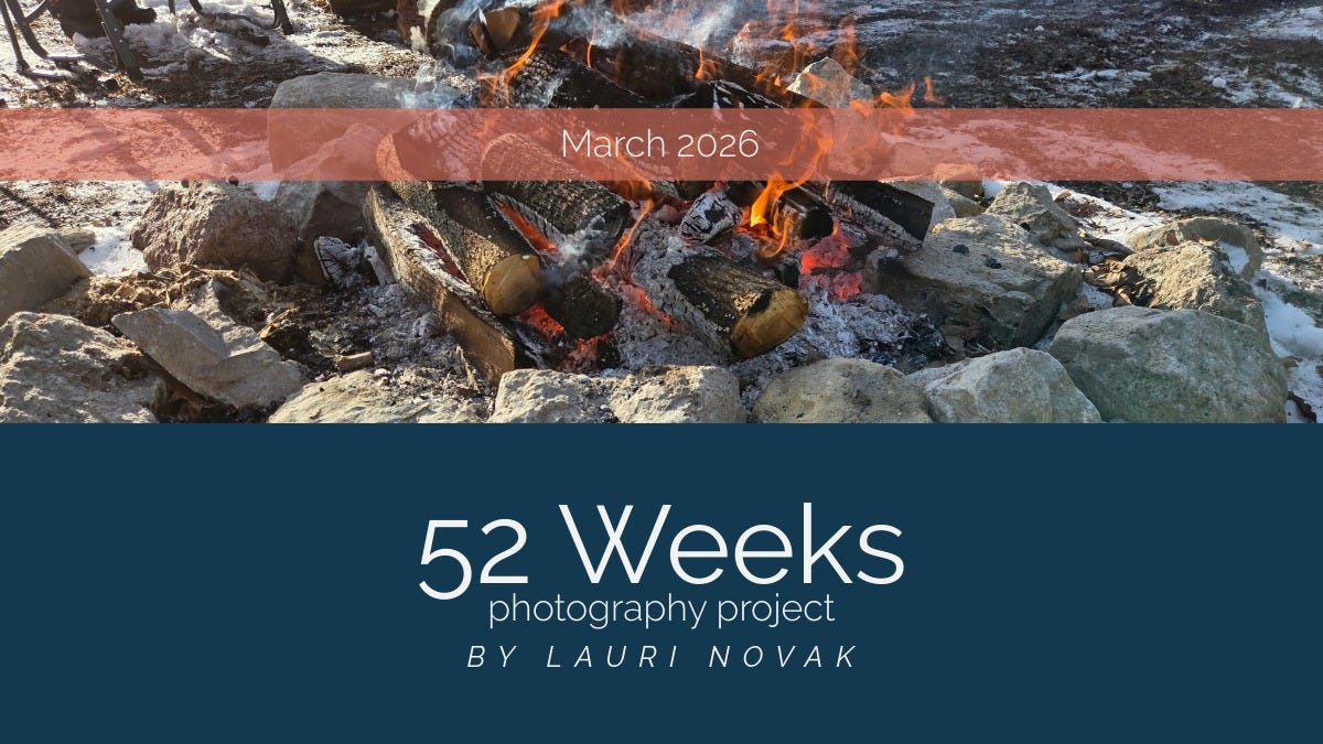 52 Weeks Photography Project. March 2026 | by Lauri Novak | Full Frame ...
