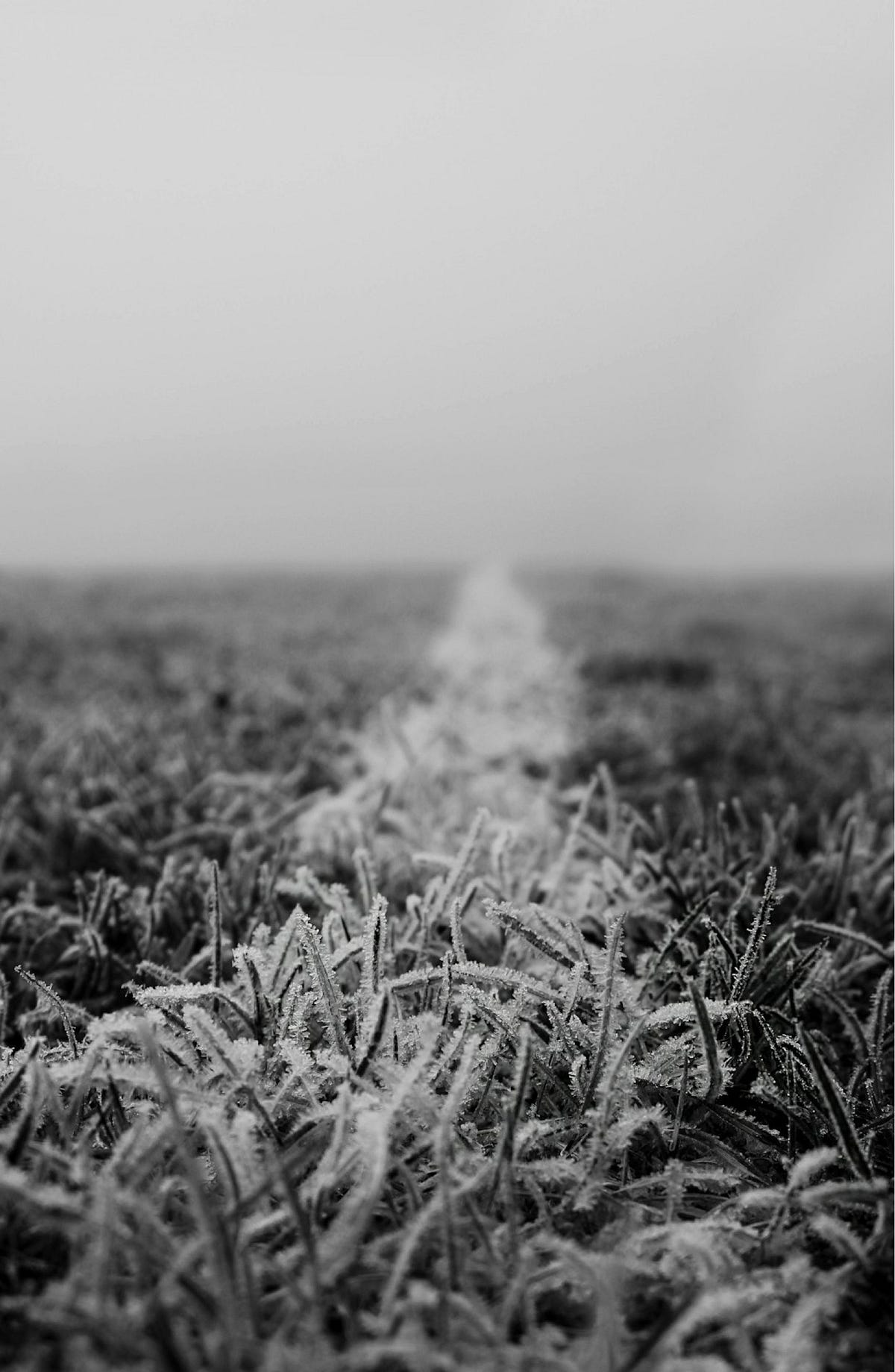 A cancellation Sets a whole chain of events In motion — what now ...