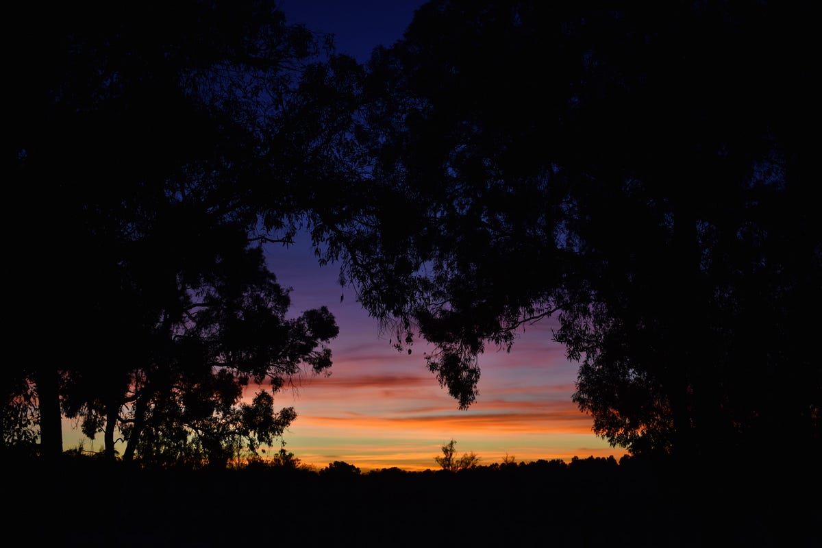 Why I’m Heading Out. I wrote about my escape from the city… | by Nikky ...