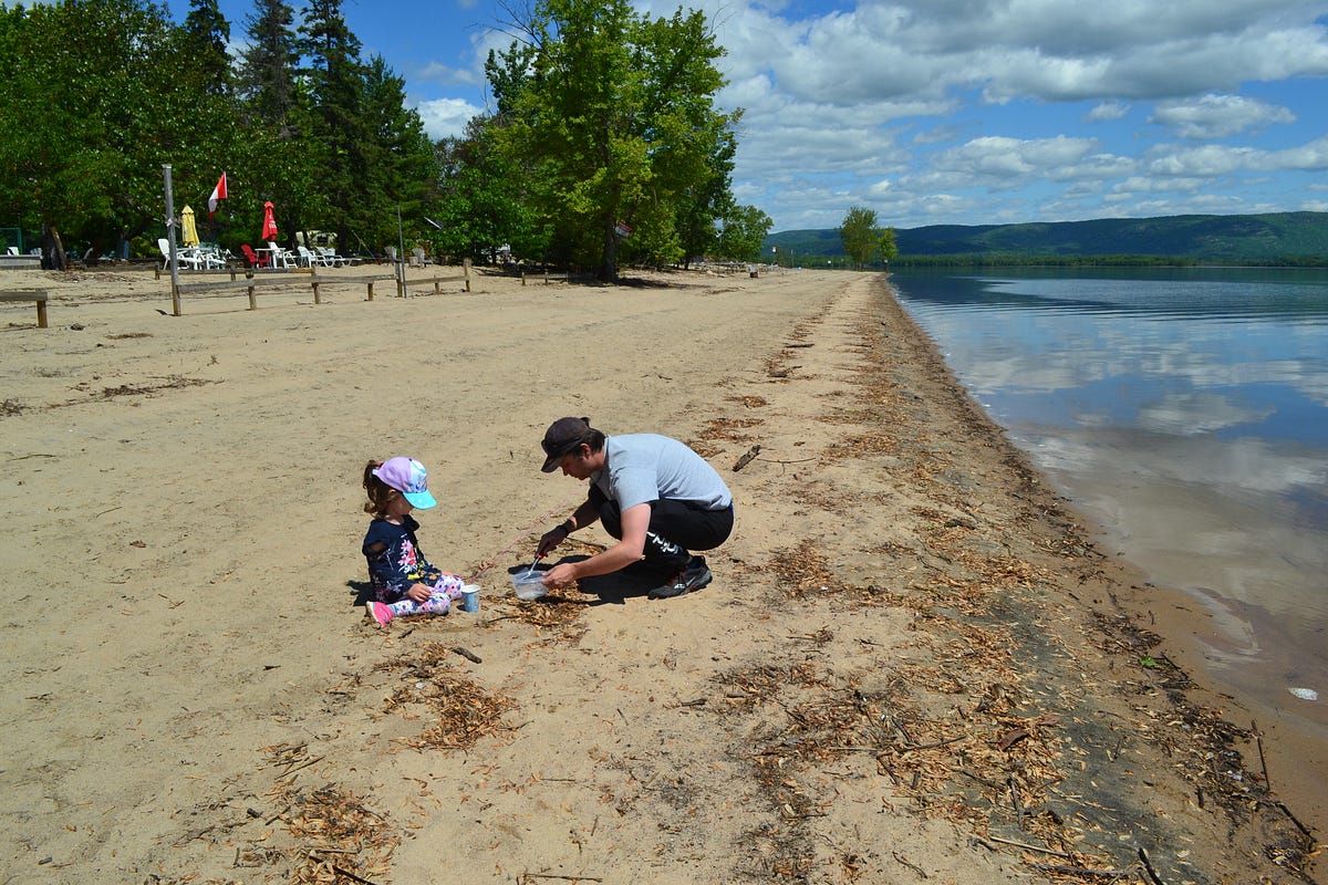 Community Scientists Sampling for Microplastics in River Sediments of ...