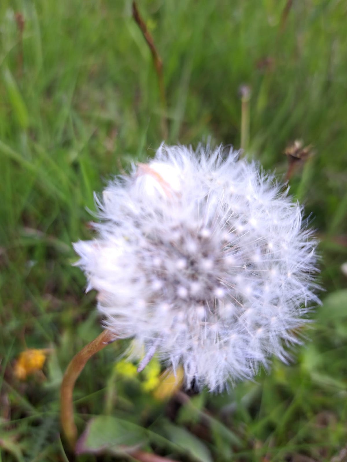 The World Needs People Who Wake Up Ready To Conquer It | by Gratiela ...