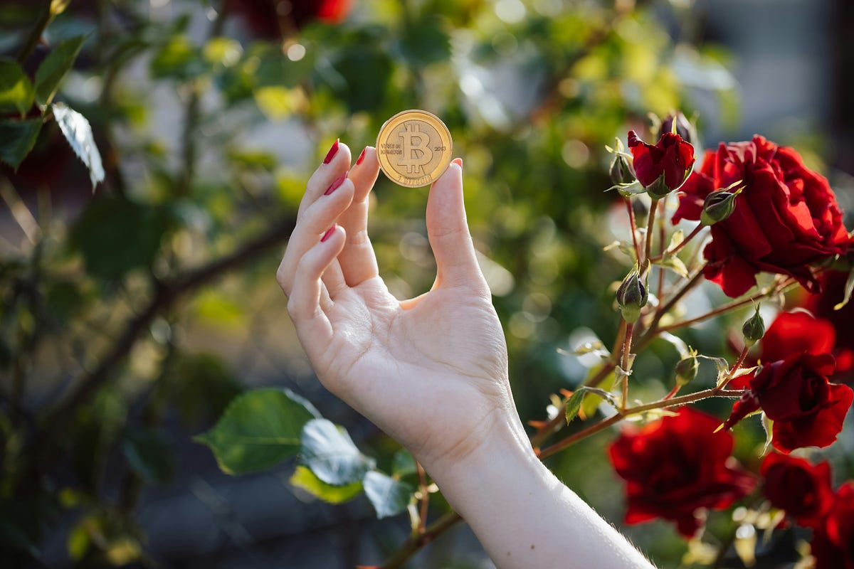 Can Money Buy Happiness?. A question wrapped in a ramble | by Brenna ...
