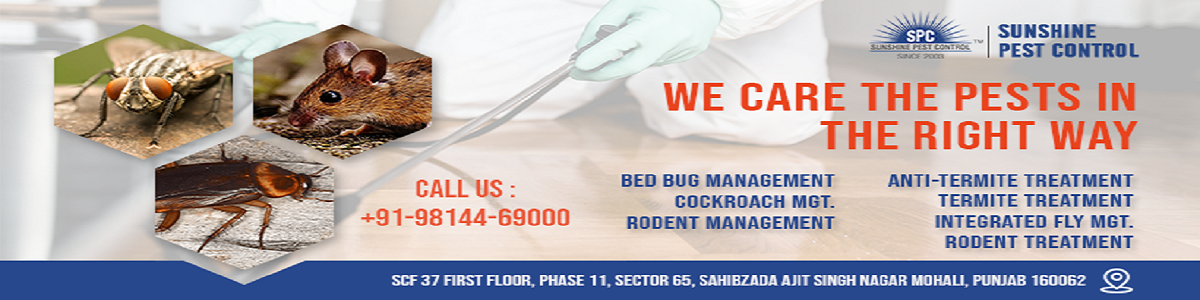 Best Pest Control Services - Sunshine Pest Control(Mr. Arshi Singh ...