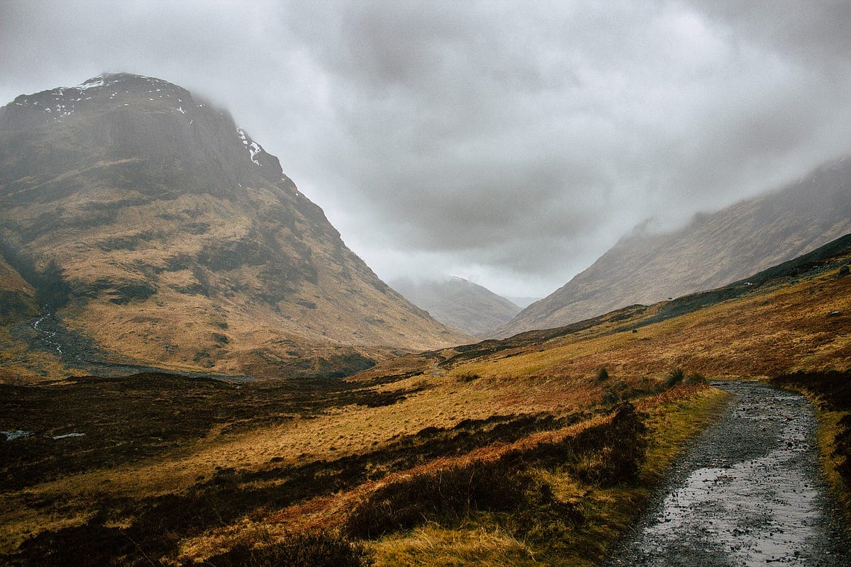 Last Clan Standing. An end to the bloody battle | by Christine Graves ...