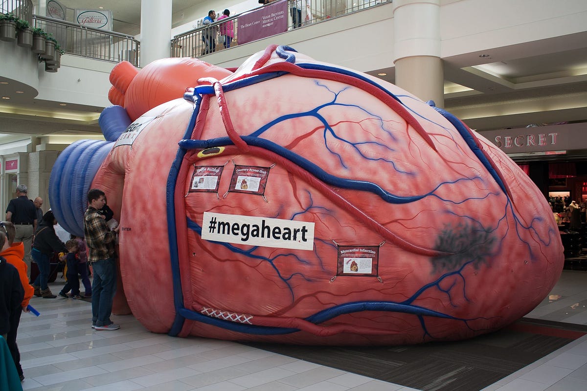 MEGA Heart at the Poughkeepsie Galleria | by Erica Gusick | The ...