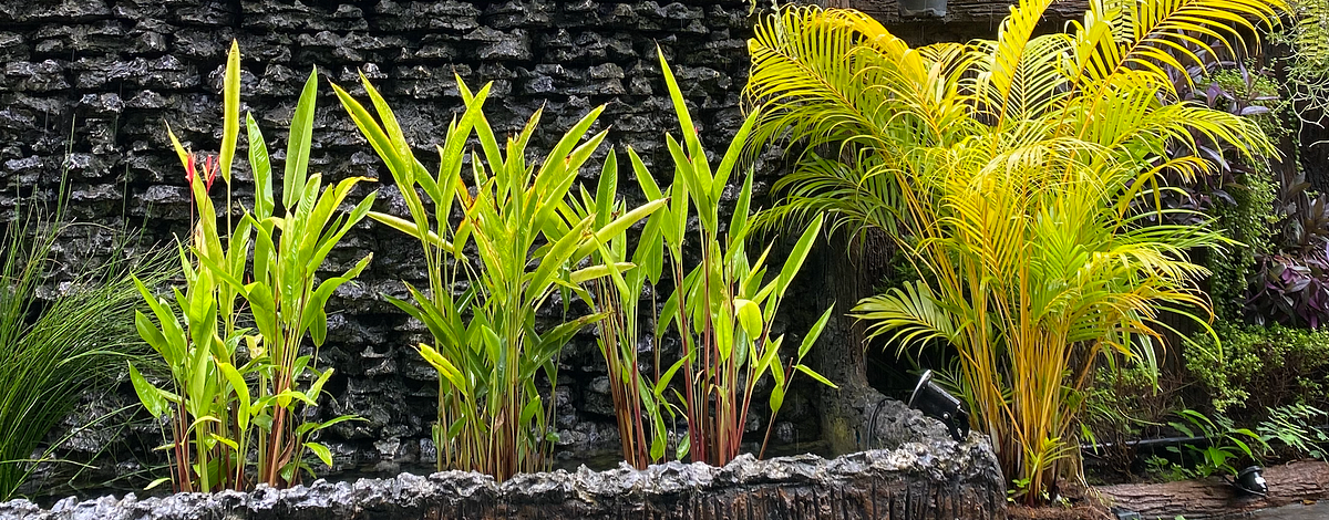 Install pre-commit on mac with pip3 | by Stephen Lee | Medium