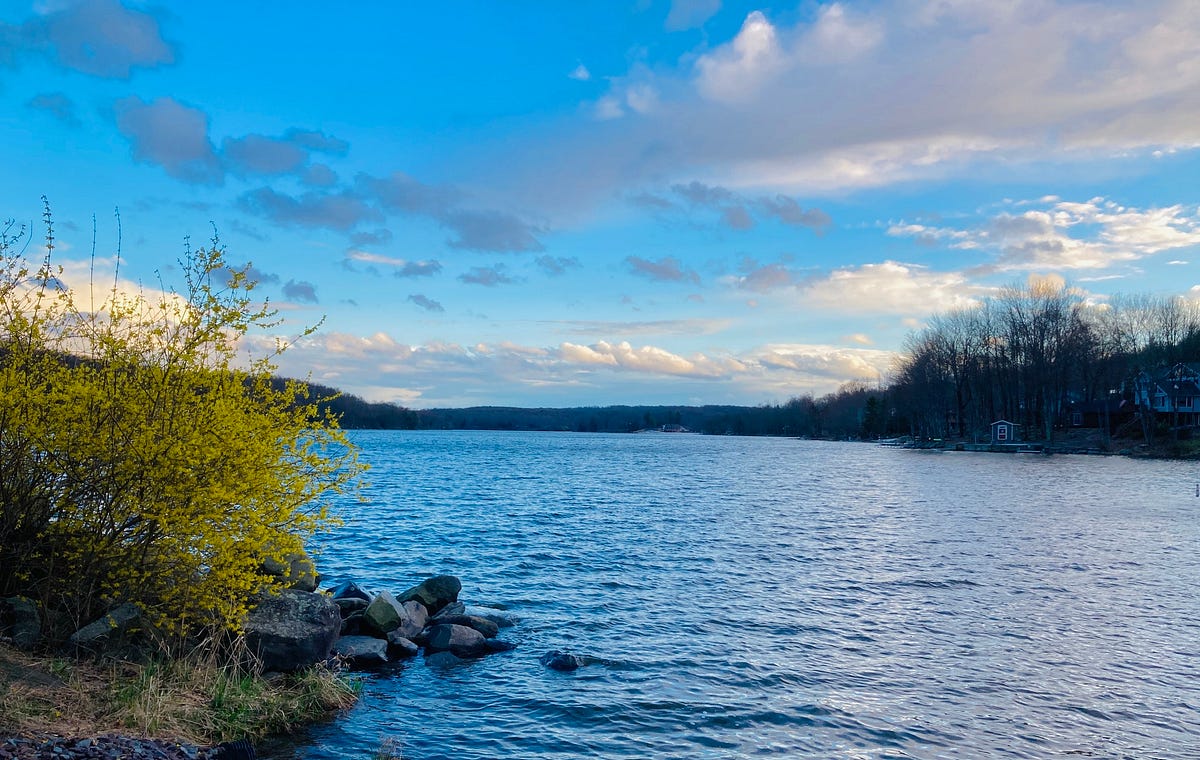 Thoughts From the Middle of the Lake | by Walter Bowne | Publishous | May, 2025 | Medium