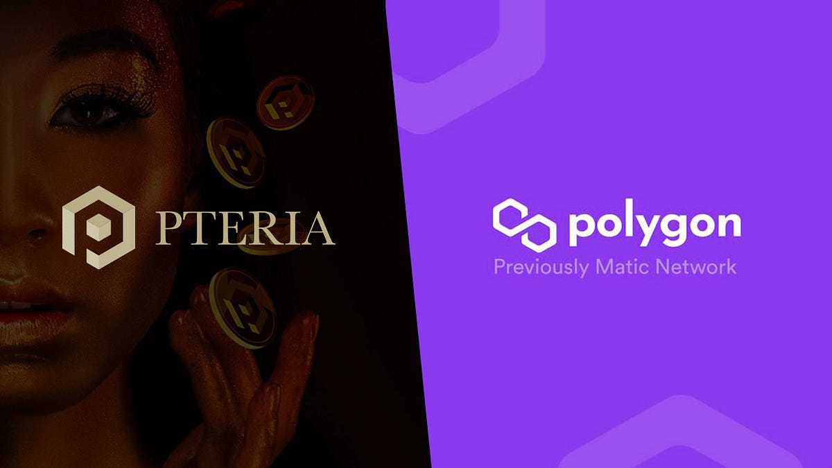 Pteria: a new partnership with Polygon - Pteria - Medium