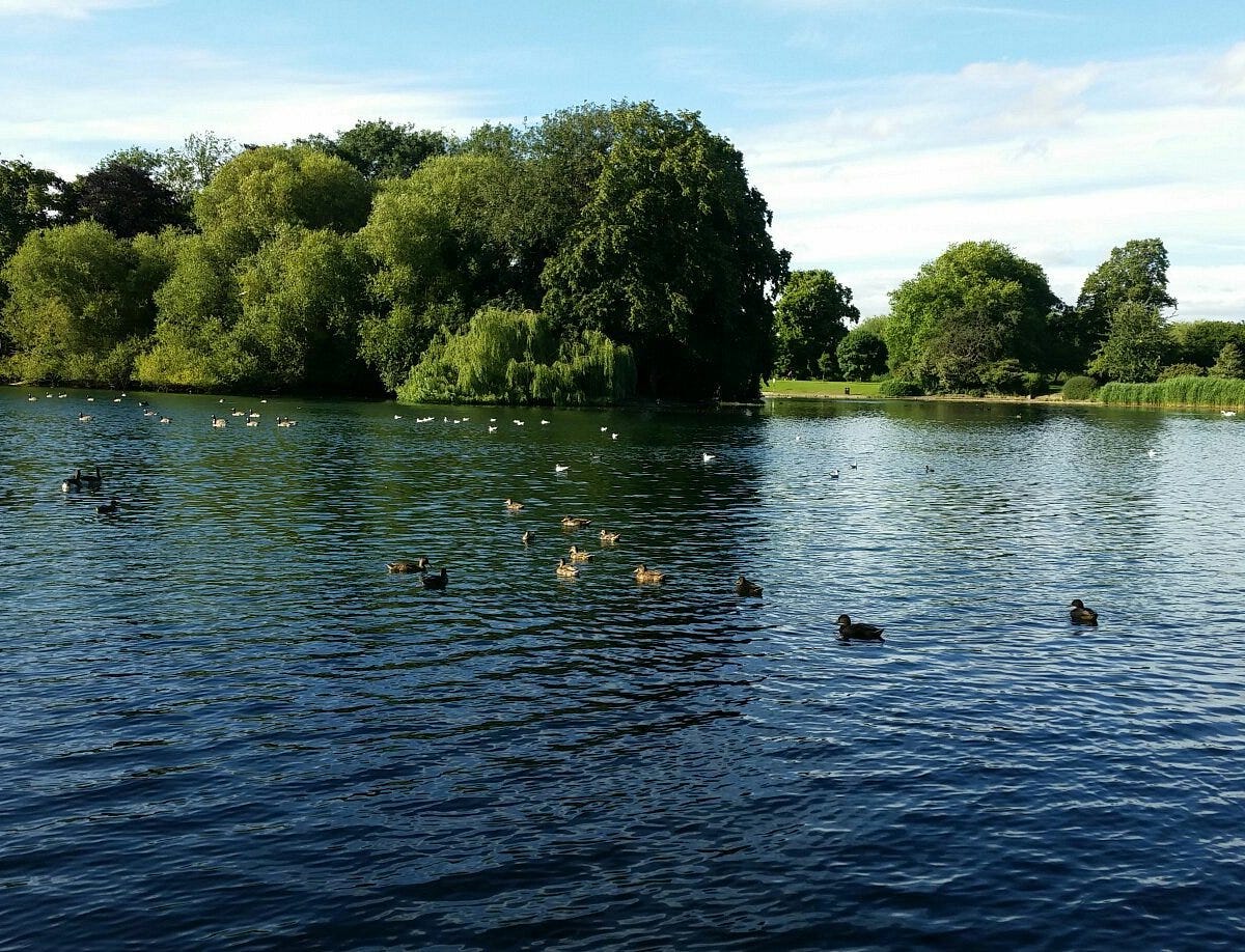 Kid Friendly Destinations Around Derby | by Derby Business Group | Medium