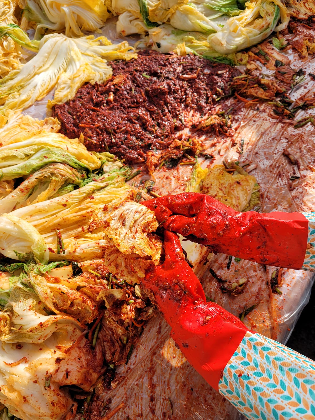 Fermentation Fascination: Unlocking the Health Secrets of Asian ...