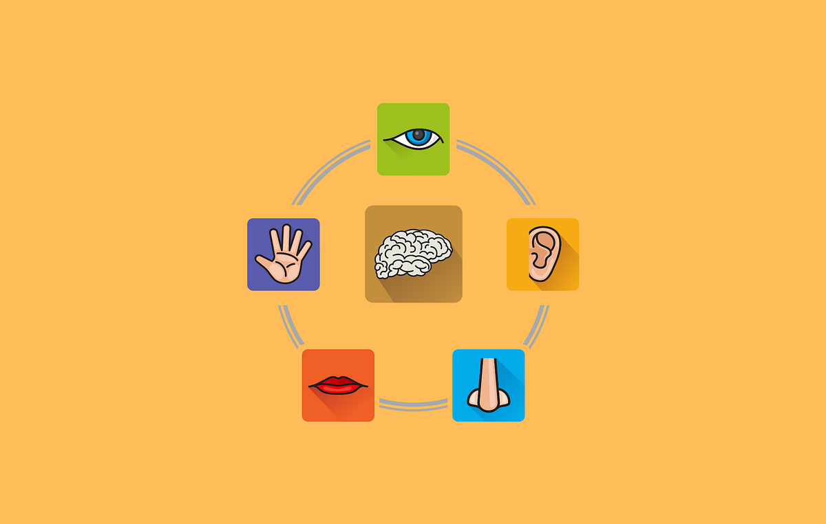 What Is Sensory Marketing? (+Examples) | Medium