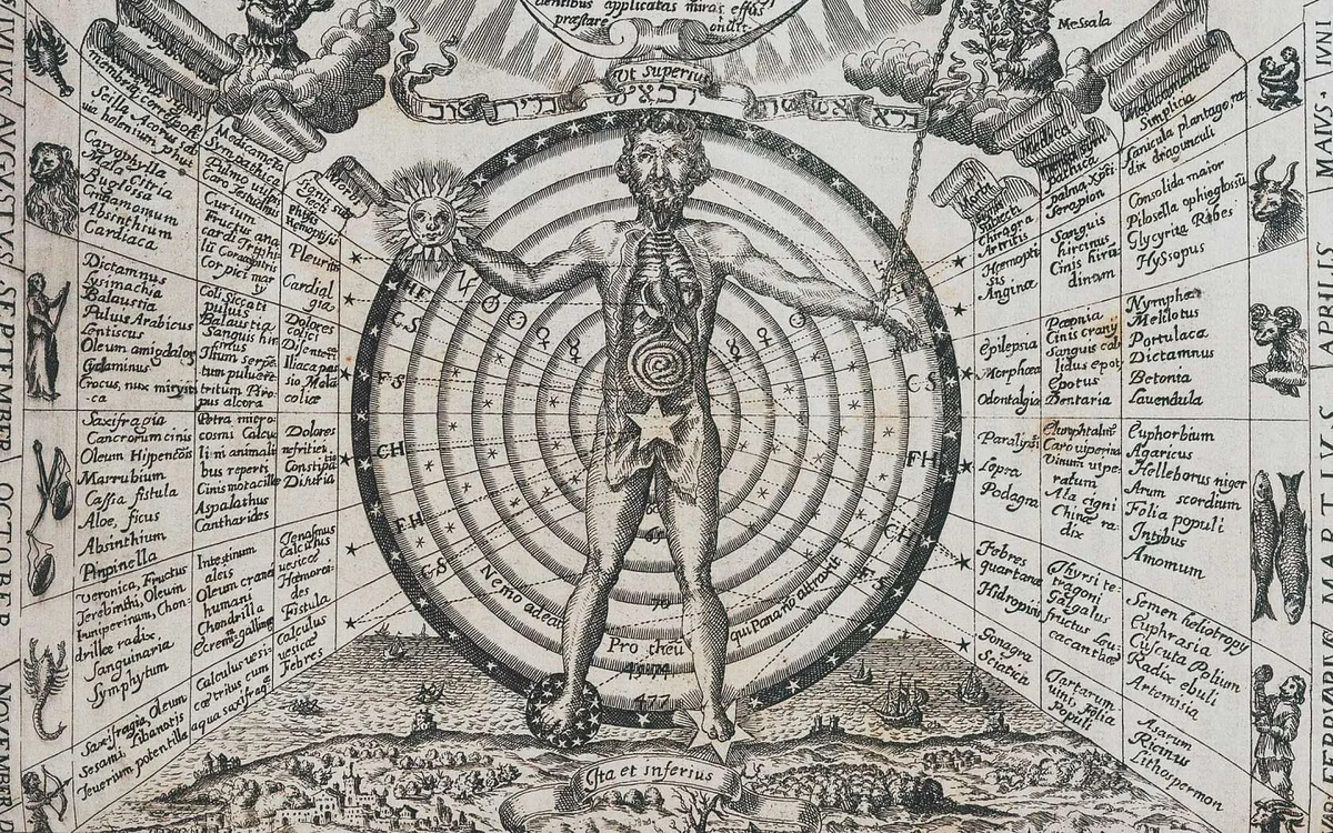 Why Being a Polymath Is Your Greatest Advantage in 2025 (And How to ...