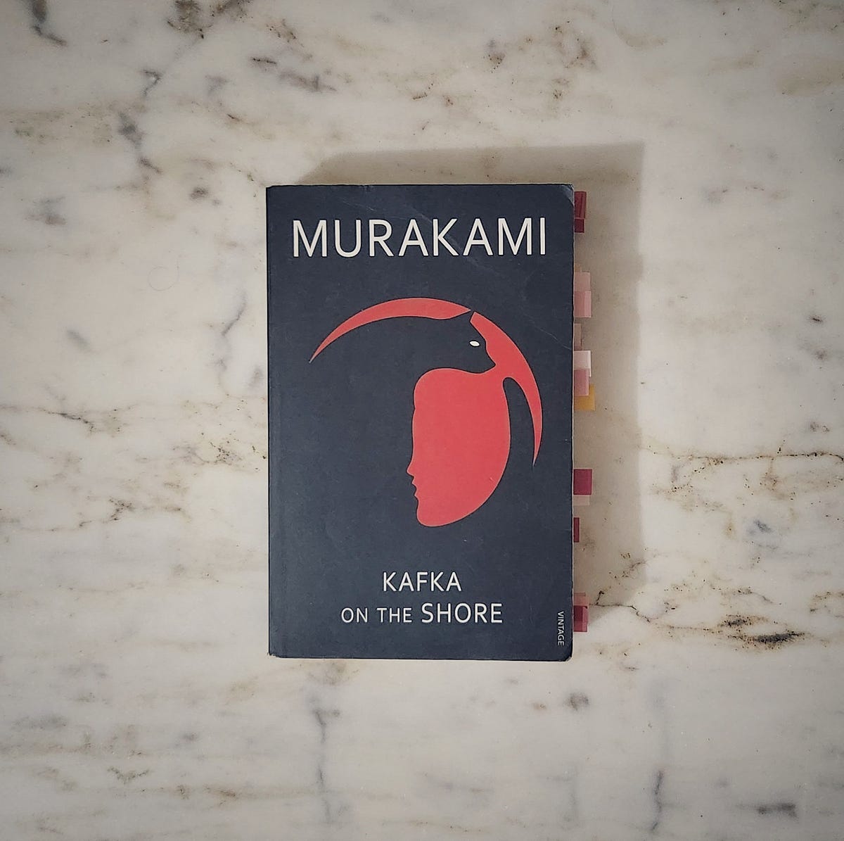 A Land Lost in Time: Kafka on the Shore | by Abha S. | Medium