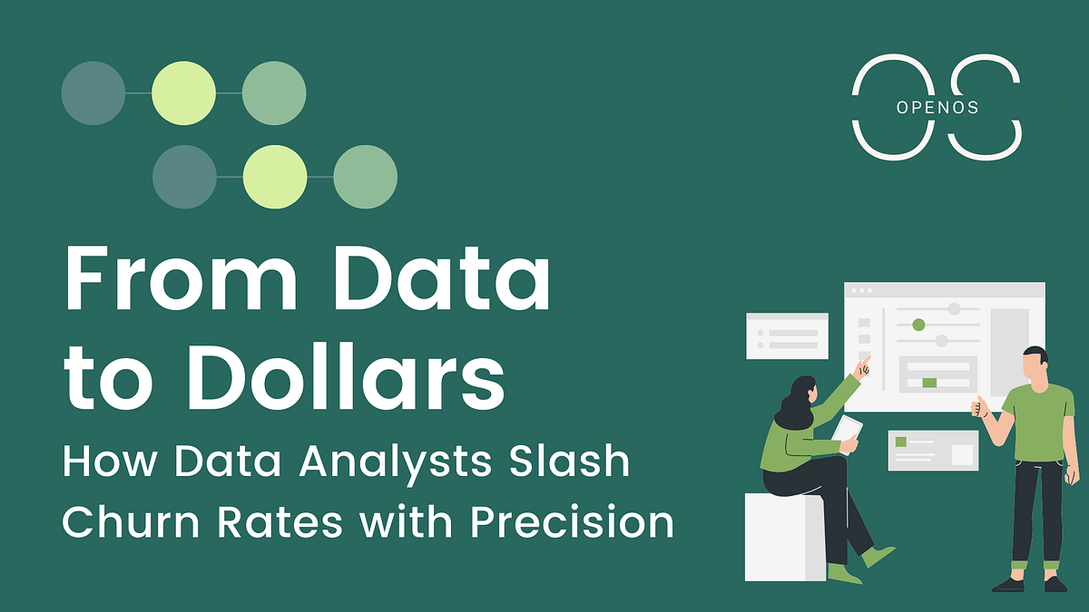 From Data to Dollars: How Data Analysts Slash Churn Rates with ...
