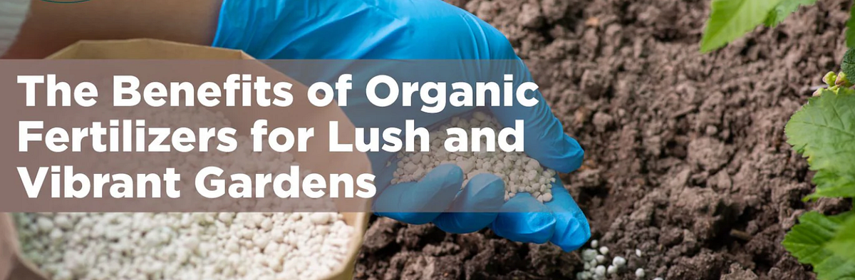The Benefits of Organic Fertilizers for Lush and Vibrant Gardens | by ...