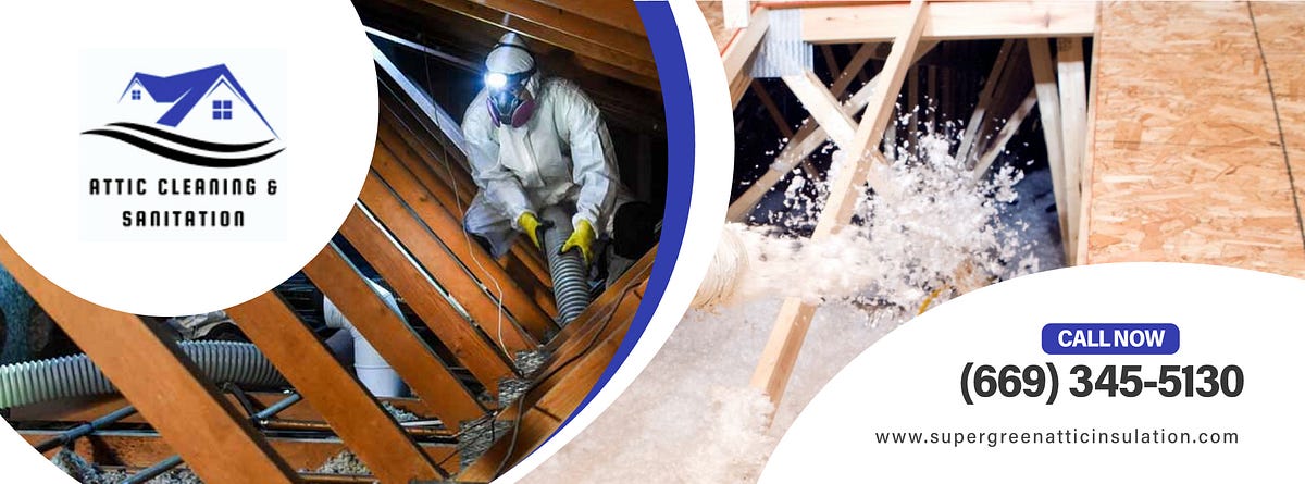 Attic Cleaning & Sanitation - atticcleaningsanitation - Medium