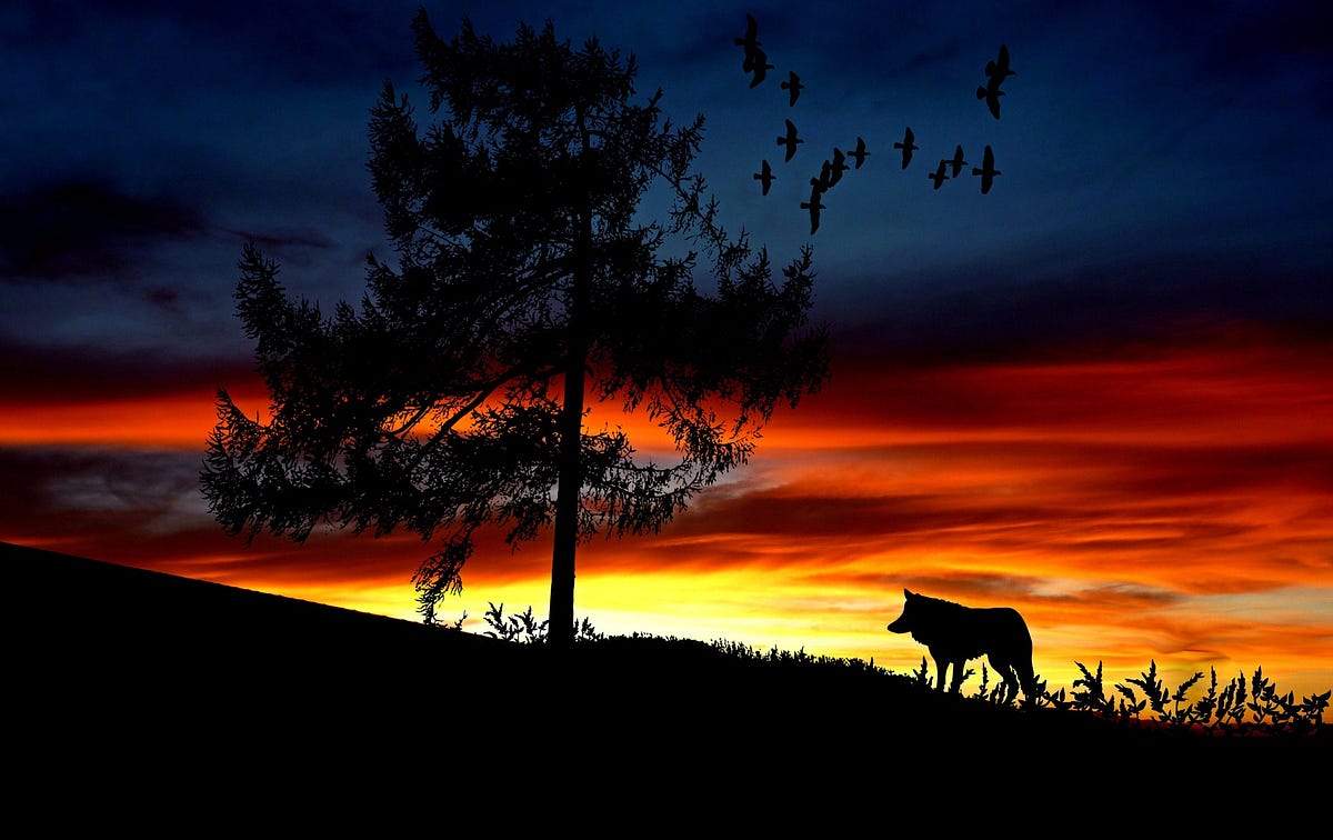 Facing the Beast. The beast inside us has revealed itself… | by Facing ...