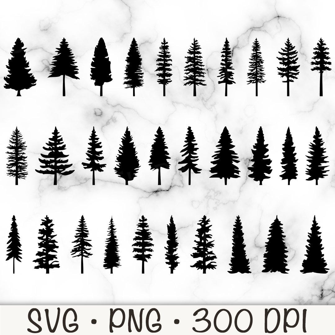 Pine Tree Silhouette SVG Bundle Pack, Evergreen Trees PNG, Instant ...