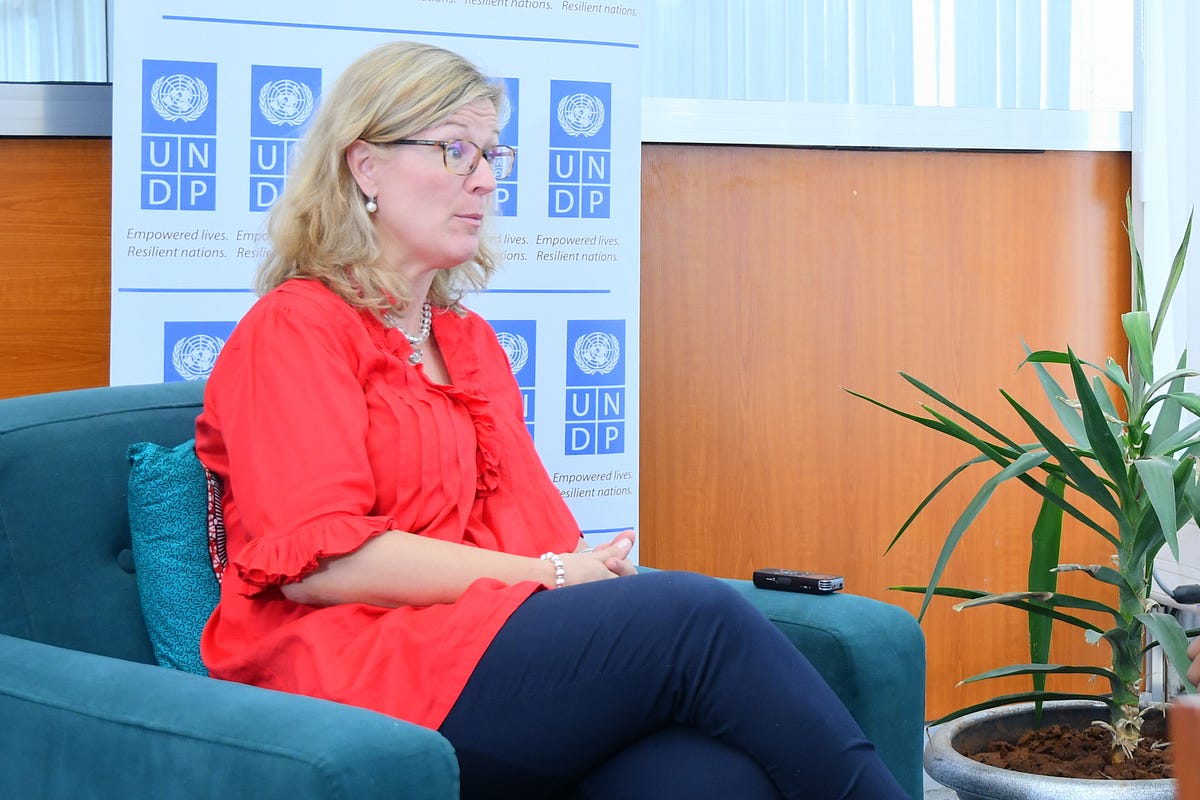 Understanding the UNDP: Silent, yet influential development partner ...