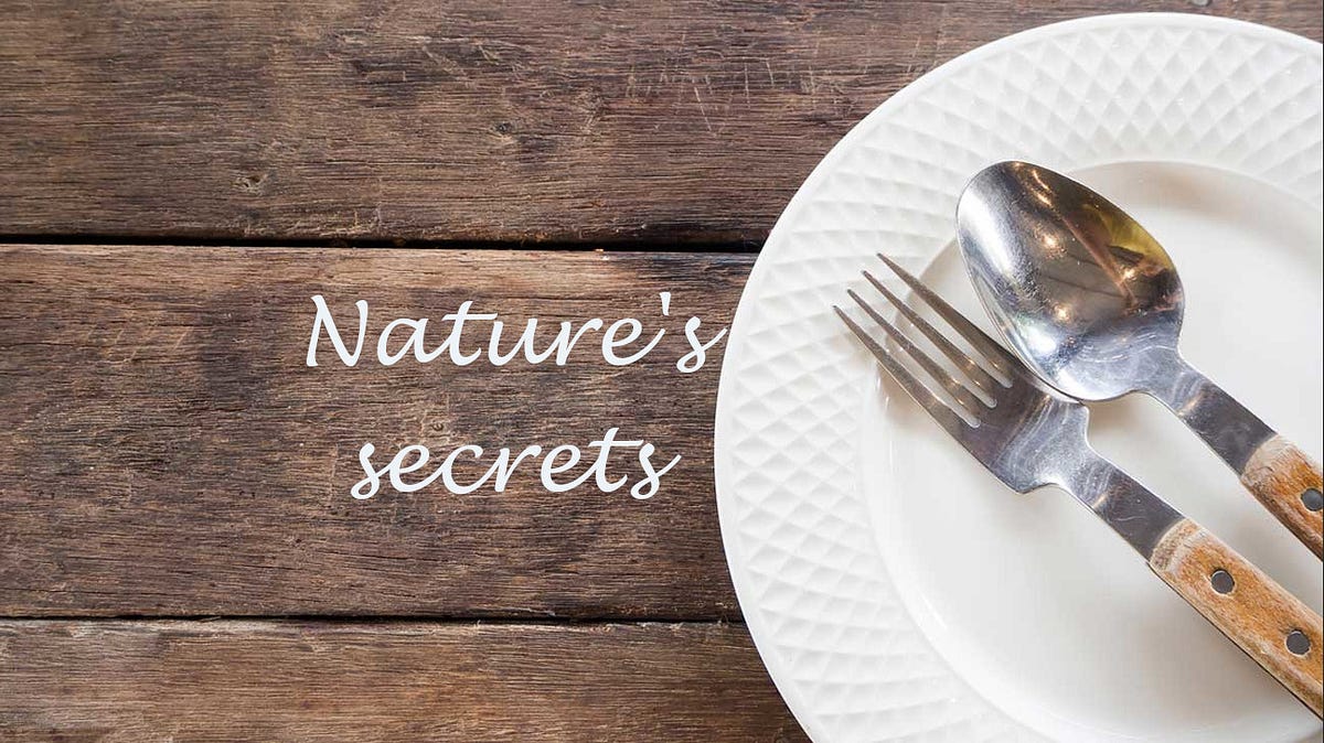 Fasting as the secret to good health and fitness | Medium