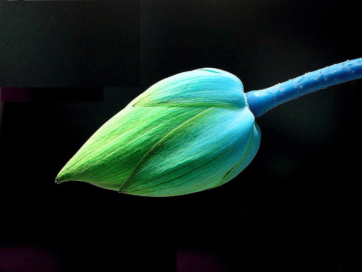 Encapsulation In Javascript Encapsulation Is The Bundling Of Data