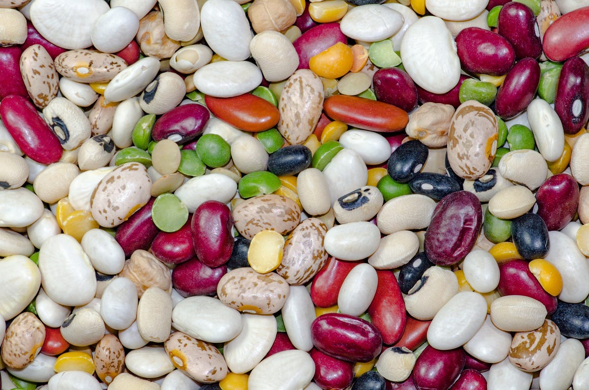 “Unveiling the Delicious Diversity: Exploring Dry Beans through Data ...