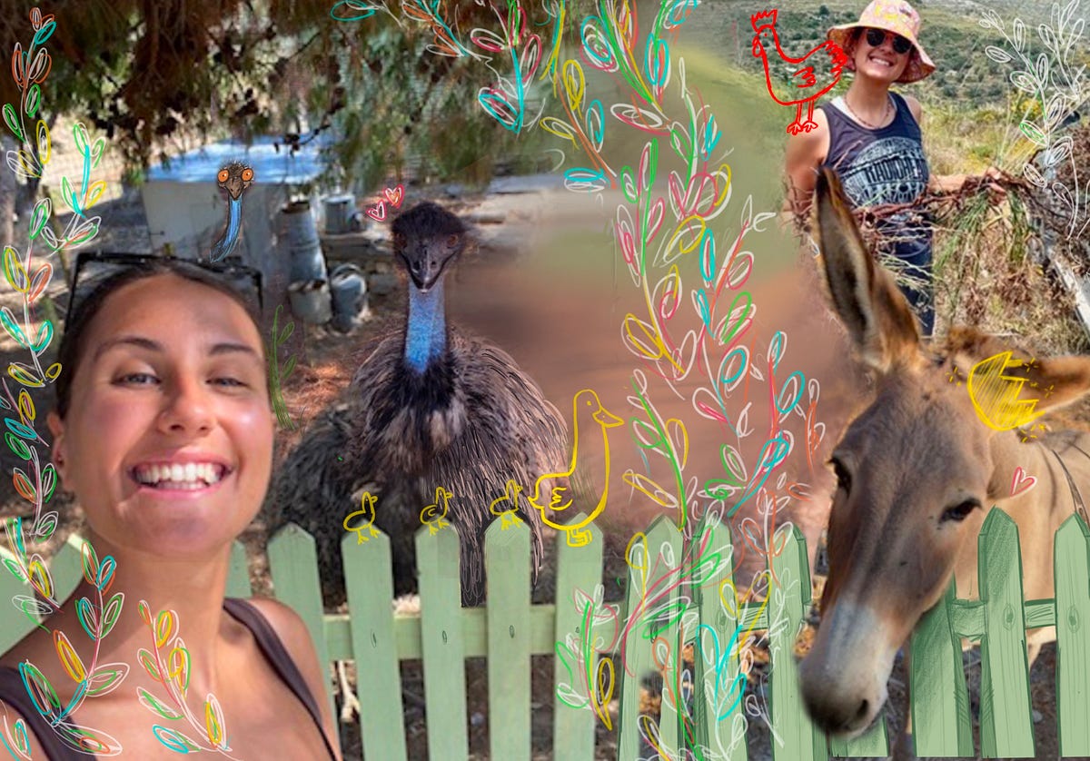 A farmer’s odyssey: How I spent my summer living on organic farms in ...