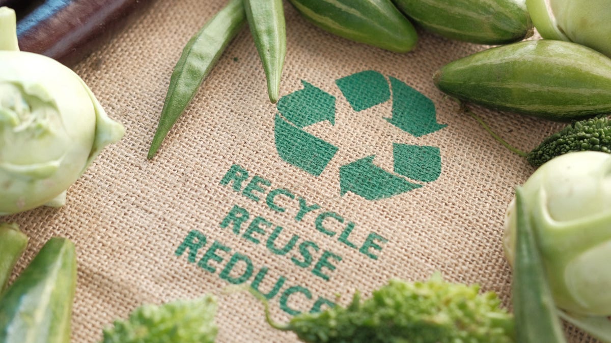 Join the Movement for a Greener World: Small Steps, Big Impact! | by Better Goods | Medium