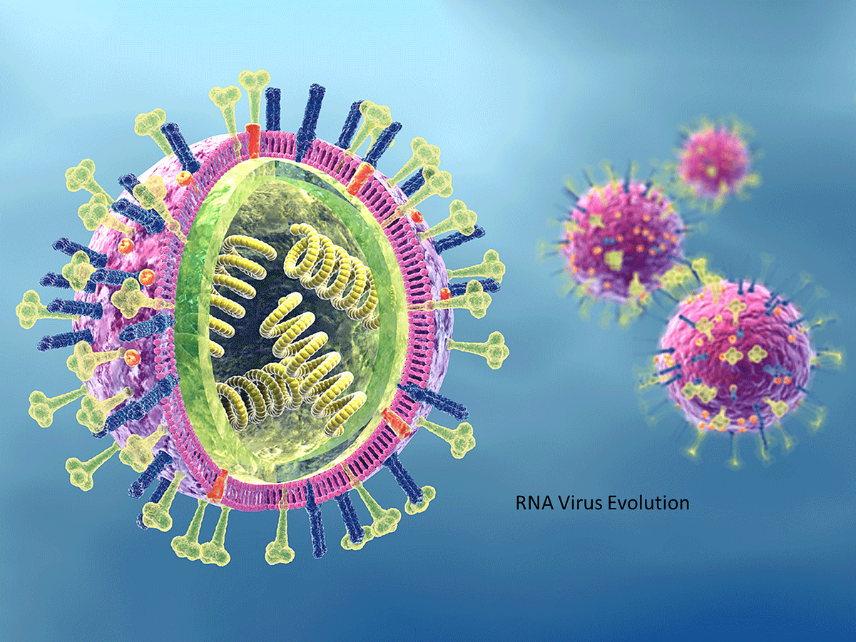 RNA Virus Evolution and Ecology. Introduction | by Rohinaarif | Medium