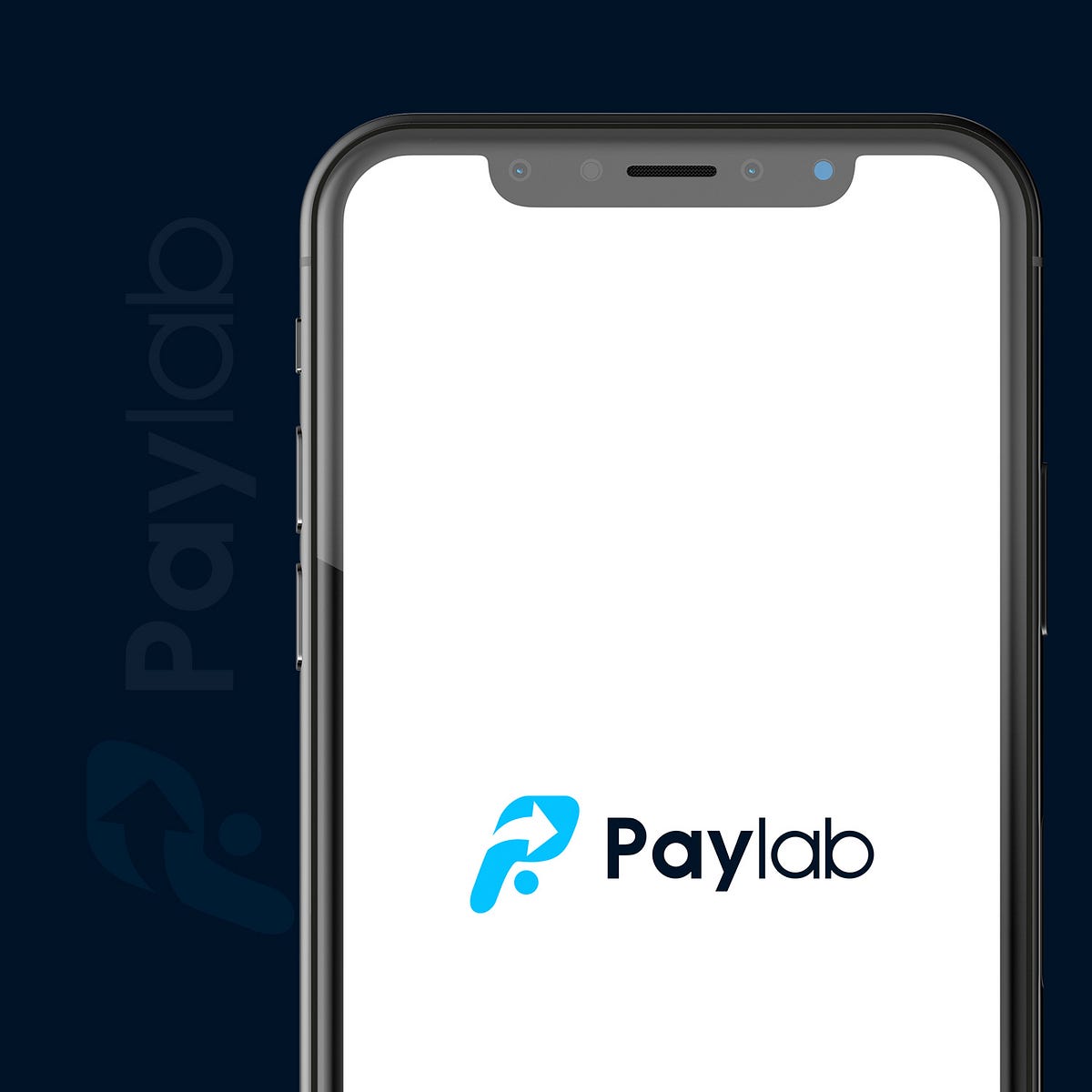 Introducing Paylab: Your Ultimate Destination for Seamless Digital ...