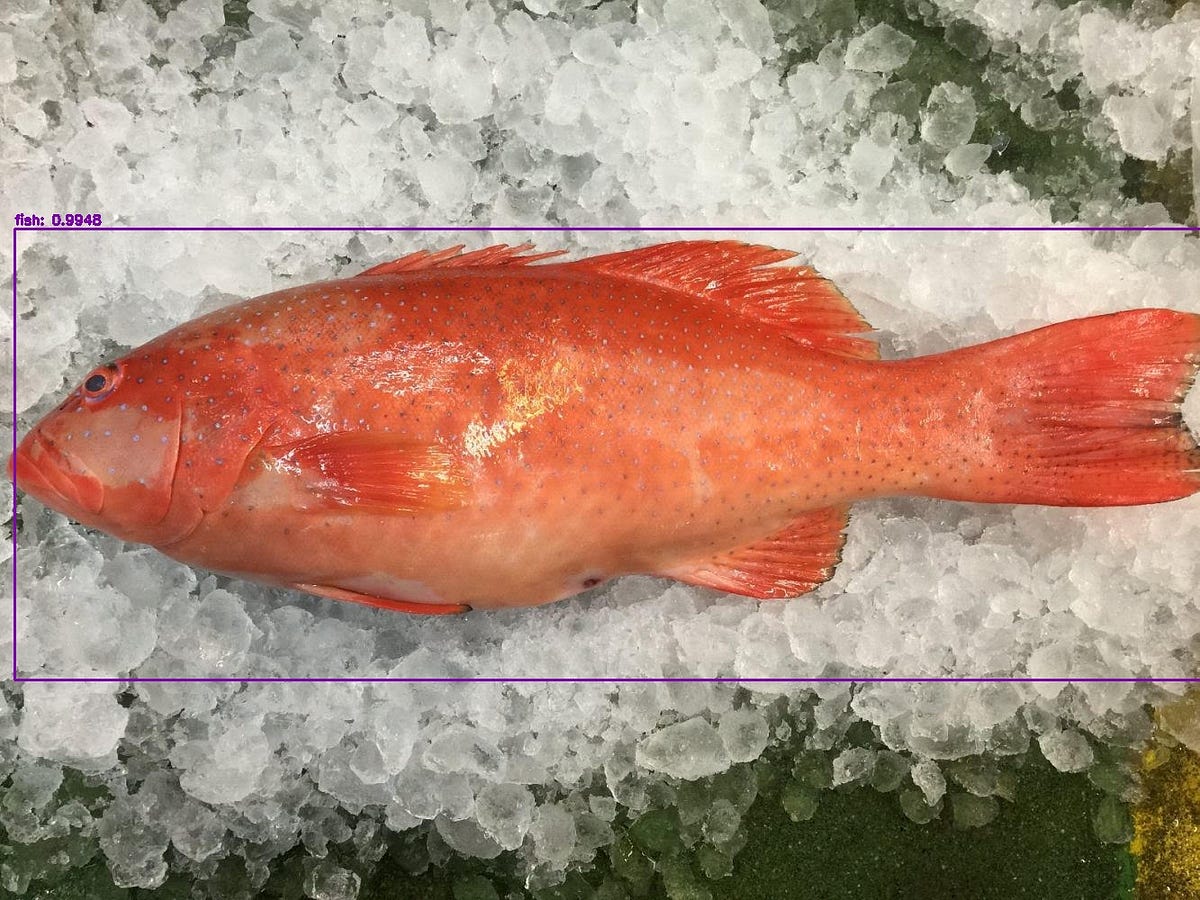 A Detailed Guide of YOLO on OpenCV Python | by Lu-Hsuan Chen ...