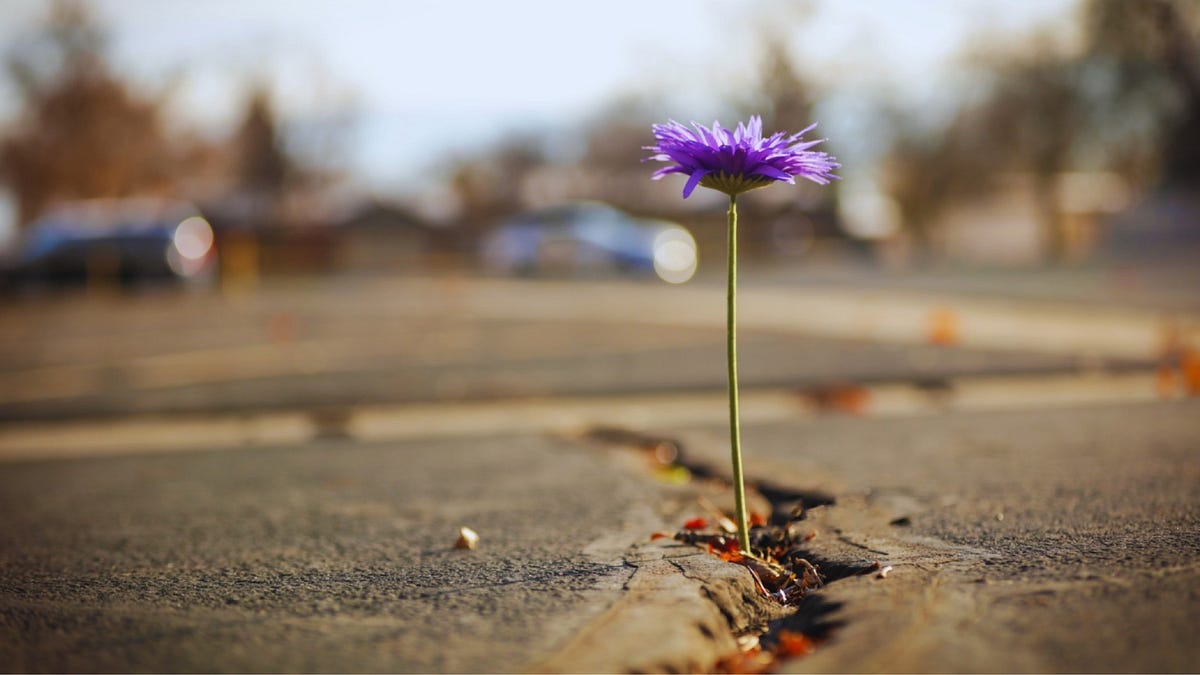 7 Harsh Realities That Helped Me Grow Stronger | by Amelia Dougherty ...