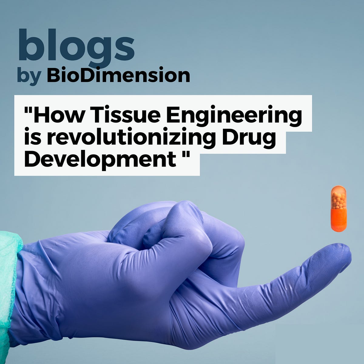 Tissue Engineering in Drug Development | by Biodimension Technology Pvt ...