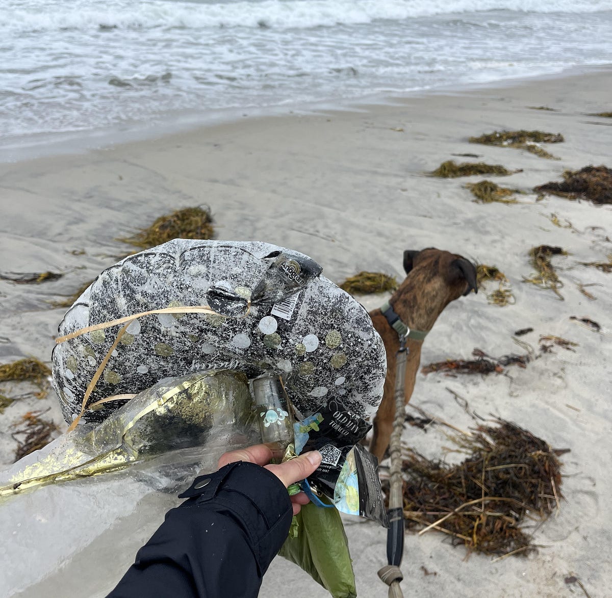 Small actions. Can picking up a piece of trash really… | by Rachel ...