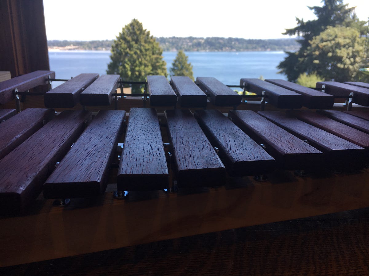 Building a Xylophone, Part 7: Xylo-coda | by Kate Salesin | Medium
