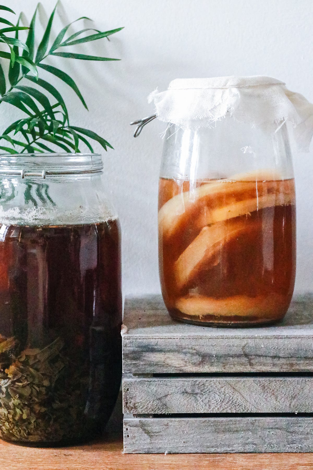 How to Make Blueberry Kombucha. Here’s how to make blueberry kombucha ...