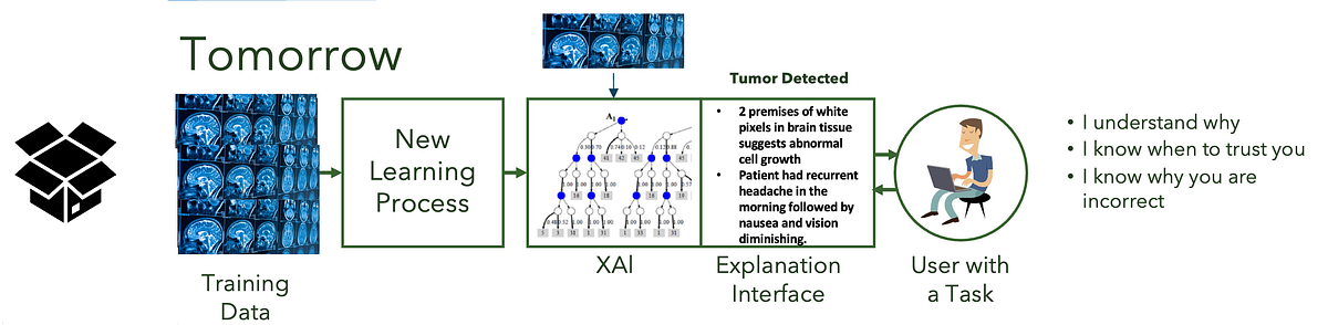 The Future of AI Transparency: An Introduction to Explainable AI (XAI ...