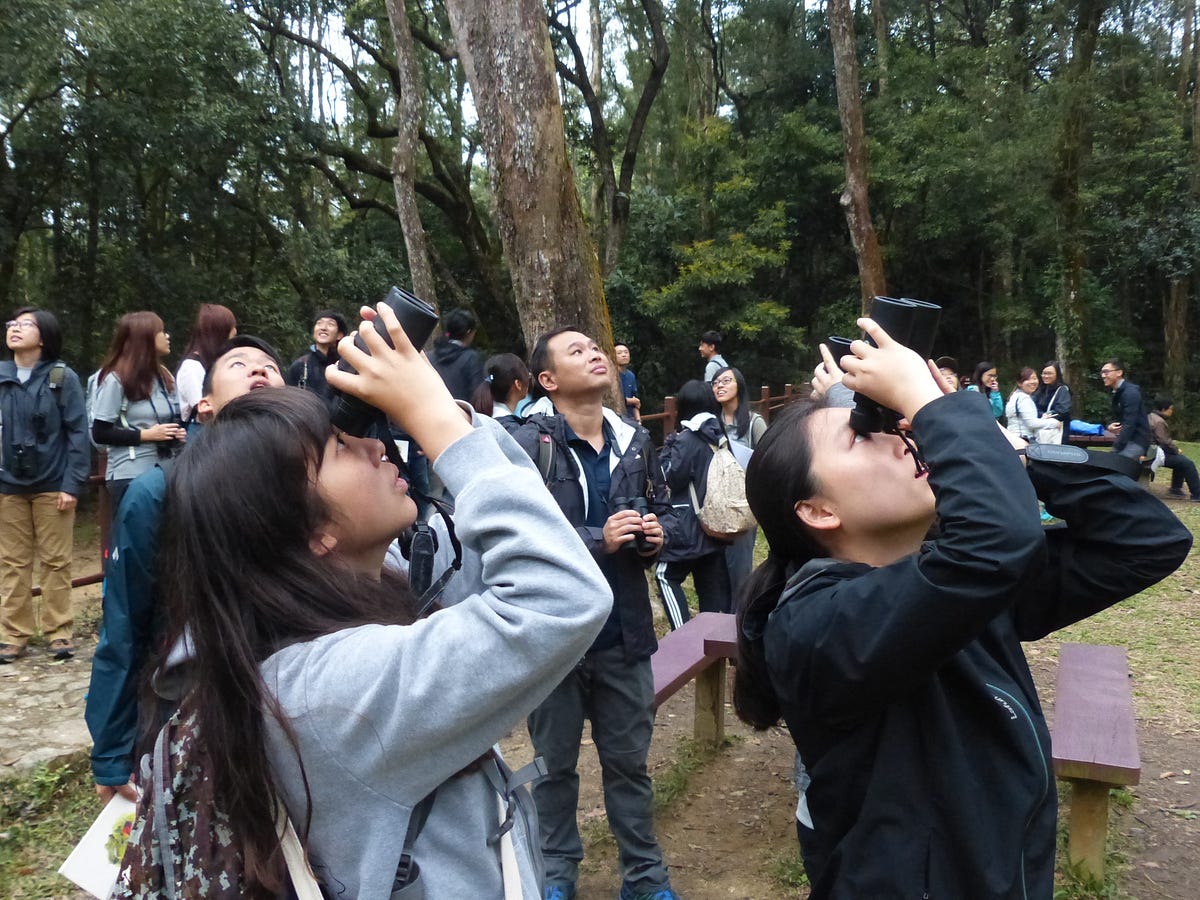 The Big Bird Challenge. by Thomas Gomersall | by WWF HK | Panda blog ...