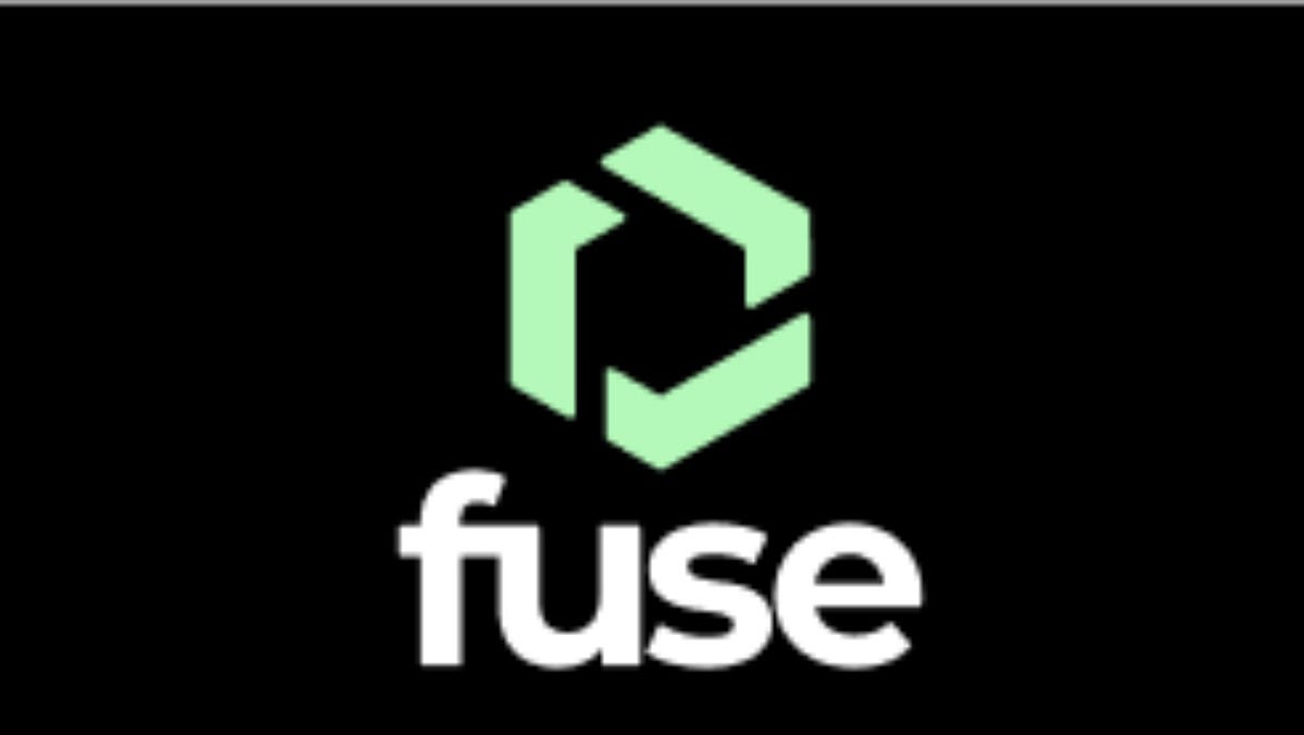 Unveiling the Power of Fuse: Redefining Blockchain Ecosystems | by Roseline Ignatius Edim | Nov ...