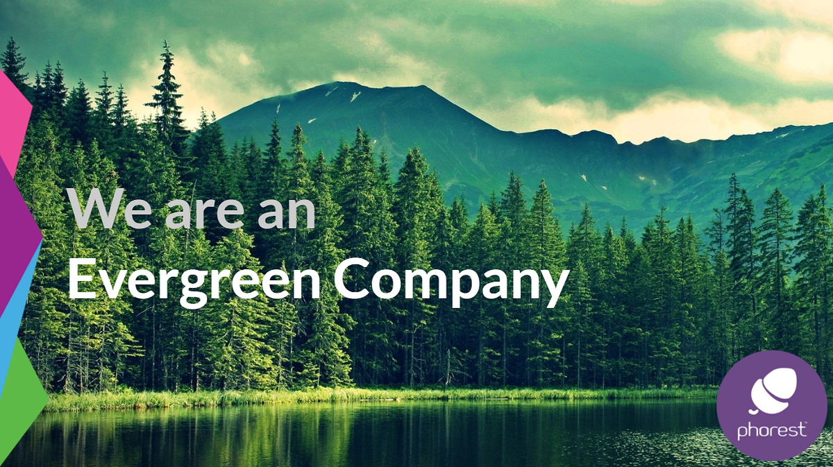 Being an Evergreen company, and the benefits of planning for the long ...