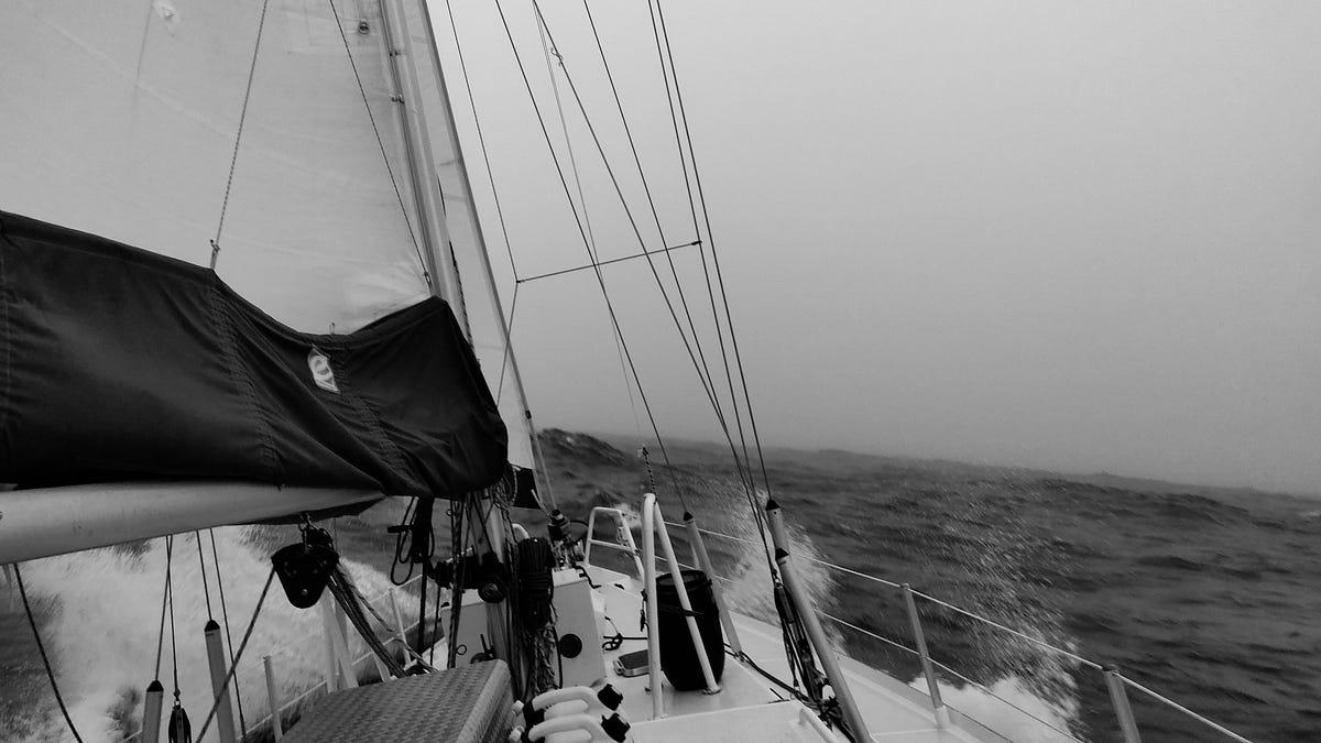 Mental Health and Sailing Away from Climate Anxiety | ILLUMINATION