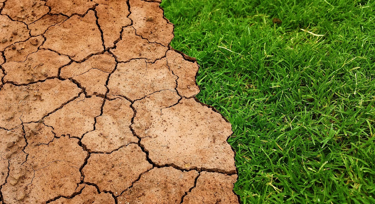 nutrient deficient soil…. The environment in which the seed is… | by ...