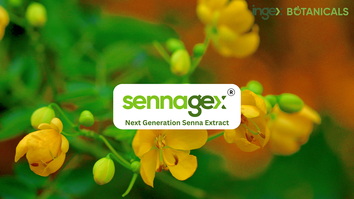 Senna Extract Ingexbotanicals. Cassia angustifolia (family… | by Ingex ...