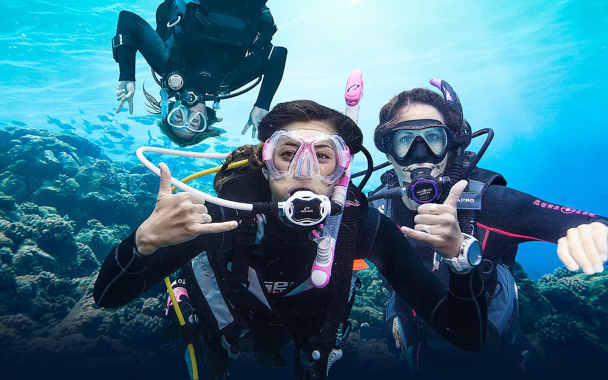 Diving Into The Deep Blue C. A beginner-level introduction to the… | by ...
