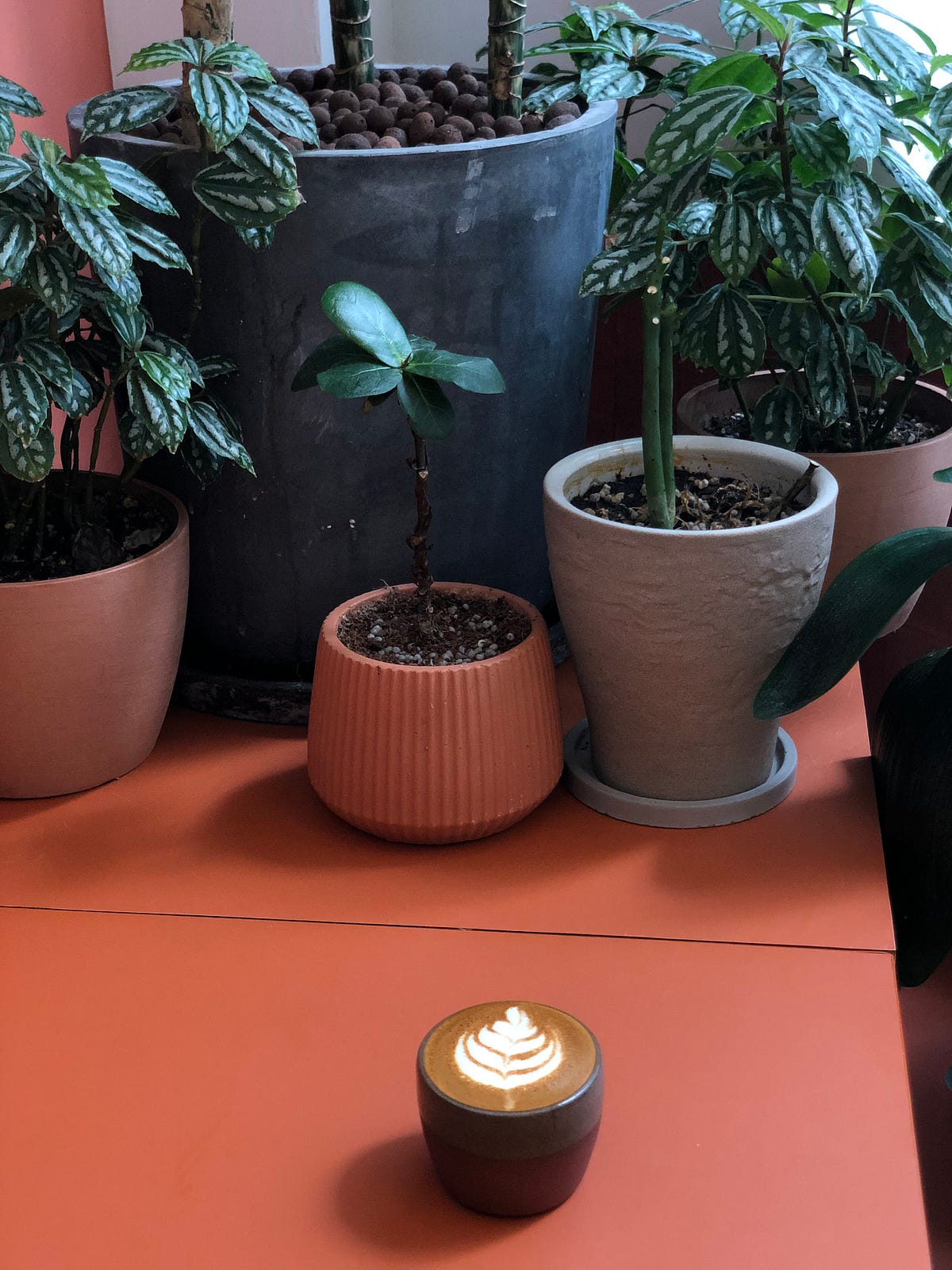 TIL Today is Long. Great Coffee for a Long Day, or Every… | by Missy ...